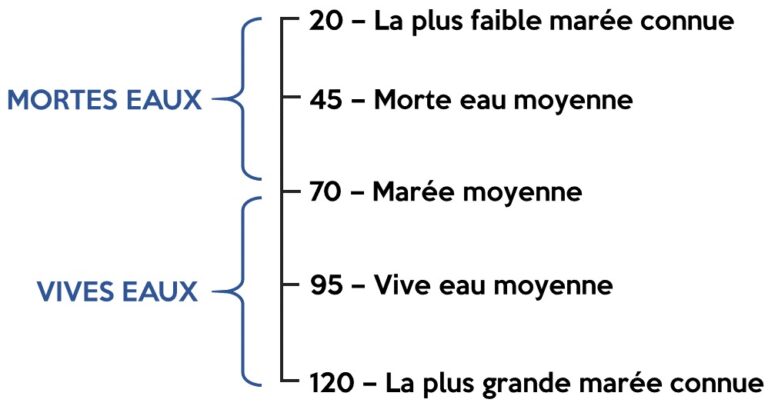 Tout savoir sur les marées : définition et fonctionnement