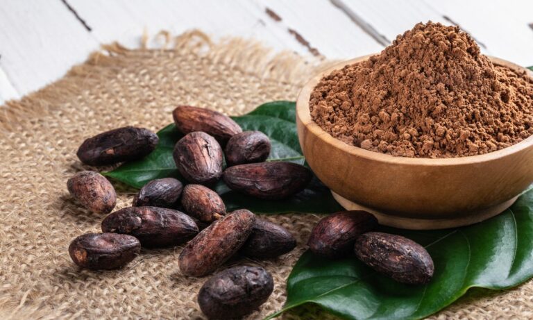 Cacao : histoire, bienfaits et utilisations